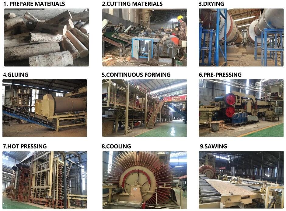 1220*2440mm Exterior Use Oriented Strand Board/OSB- Hunglin Wood